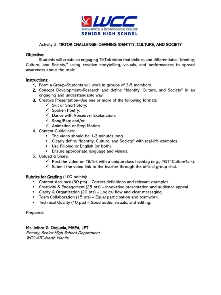 TikTok Challenge: Identity, Culture, Society | PDF
