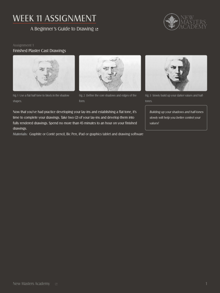 Beginners Guide To Drawing Week11 Assignments DR-1 | PDF