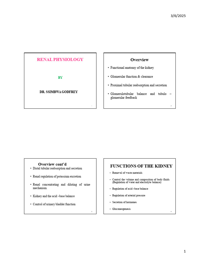 Renal Physiology Lecture 1 | PDF | Kidney | Abdomen