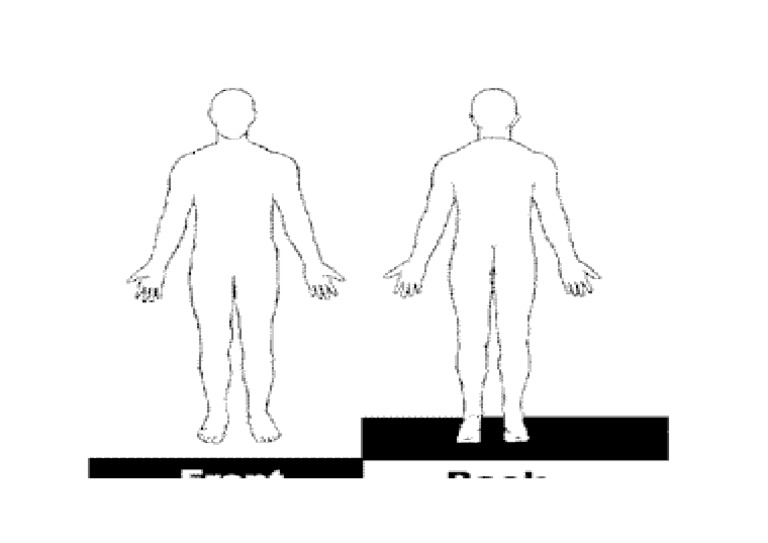 BodyMap Outline | PDF