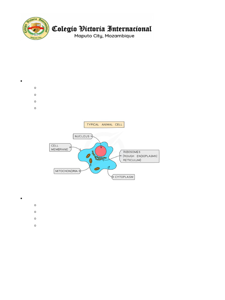 Grade 10 Cell Structure Overview | PDF | Cell (Biology) | Bacteria