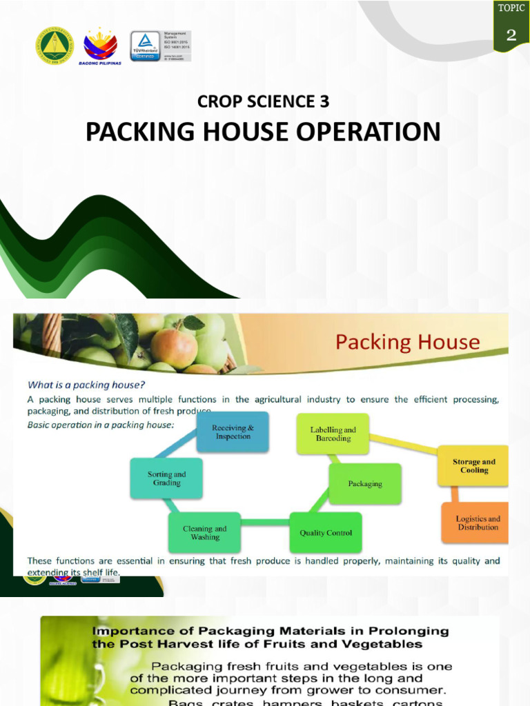 Packing House Operation | PDF | Onion | Vegetables