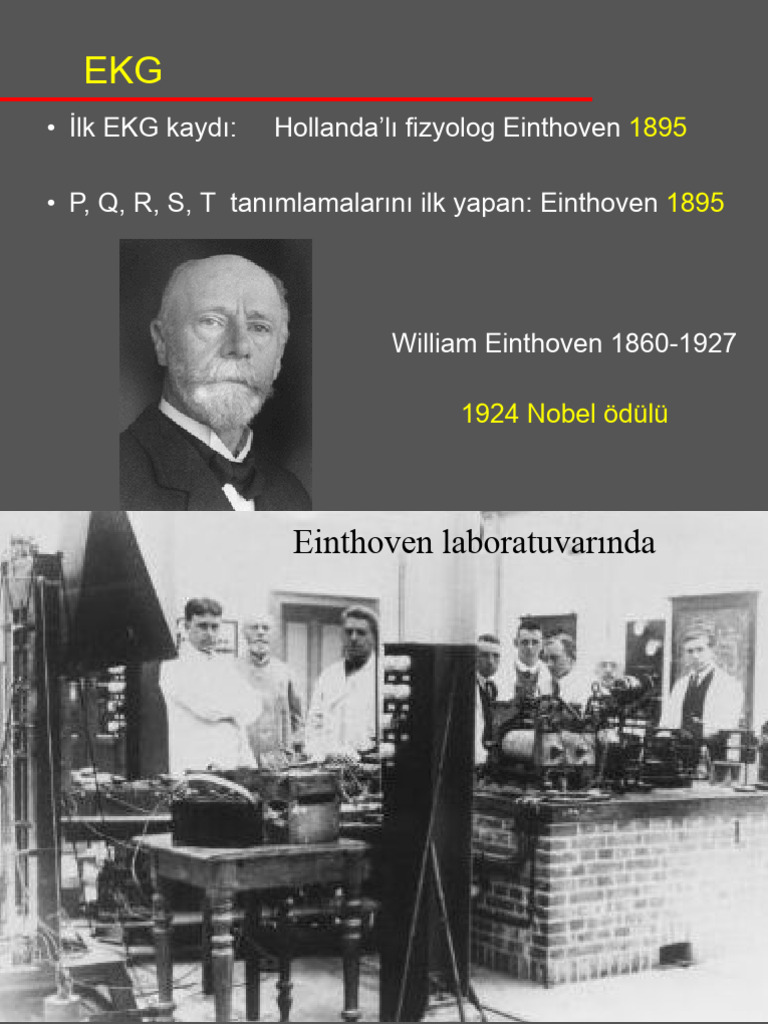 3 Ekg 1 | PDF
