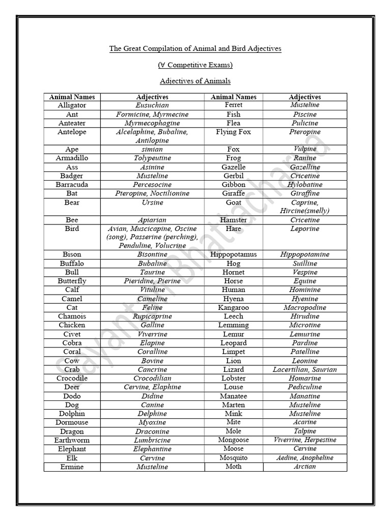 Bird Adjectives for Descriptive Use | PDF | Zoology