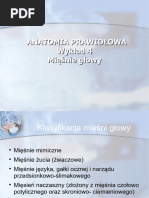 Anatomia Swini Atlas Interaktywny | PDF