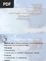 Anatomia Swini Atlas Interaktywny | PDF