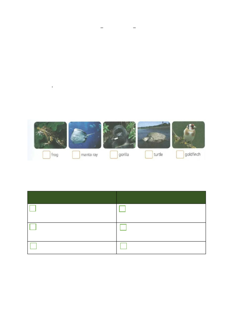 Vertebrate Classification Test for Kids | PDF | Respiratory System ...