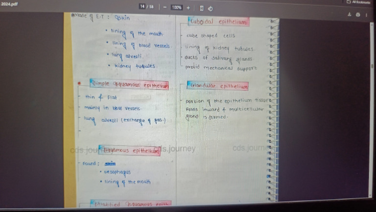 Pi7 Tool PDF | PDF