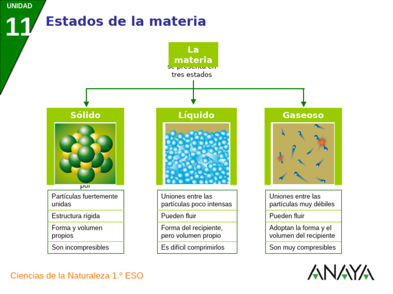 Estados de la Materia: Sólido, Líquido, Gaseoso | PDF