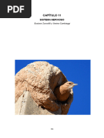 Prensa de Herofilo | PDF | Cerebro | Vena