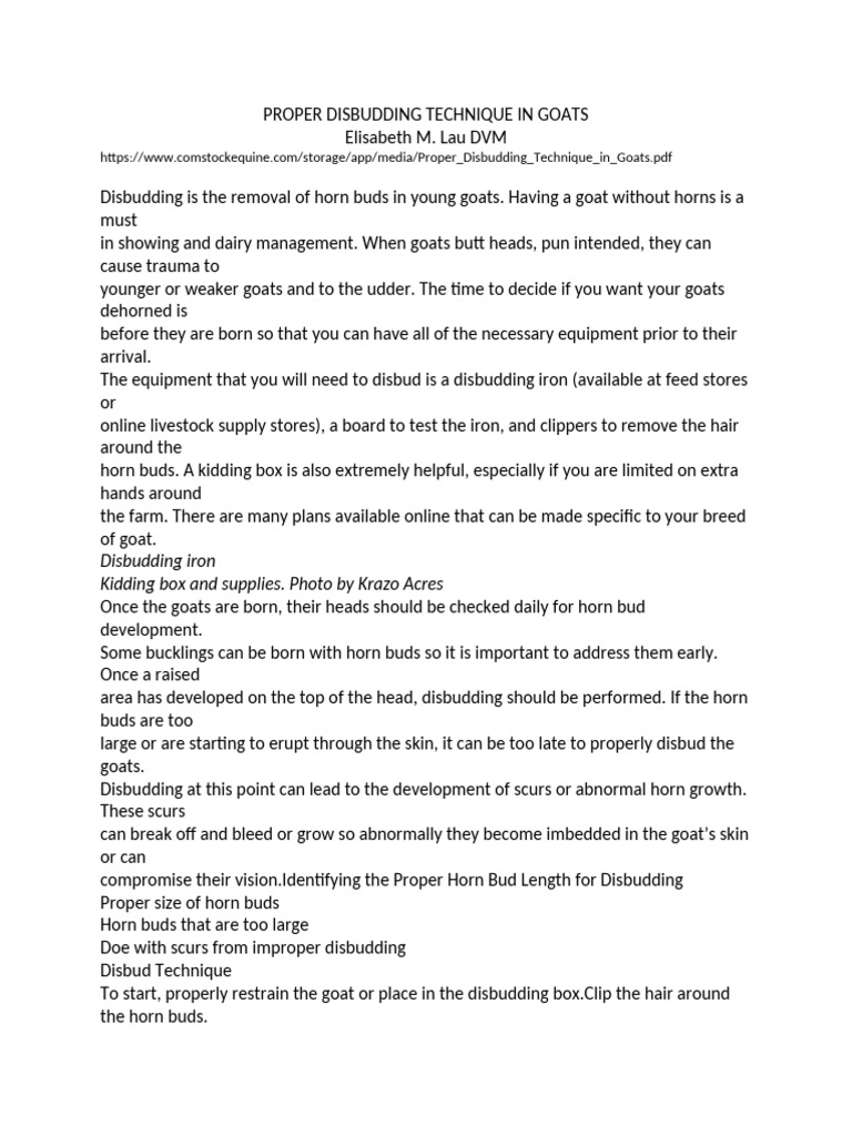 Proper Disbudding Technique in Goats 1 | PDF | Goat | Livestock