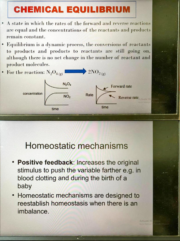 Chemical Equilibrium | PDF