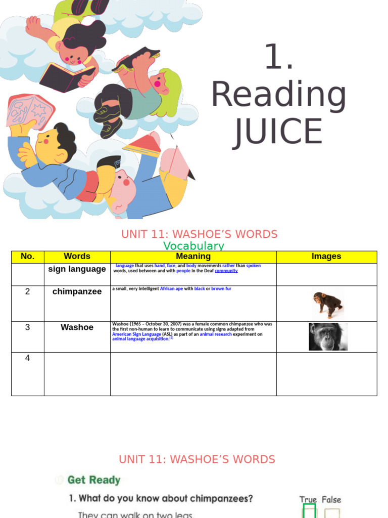 Flyers Reading Juice 2 Unit11 | PDF