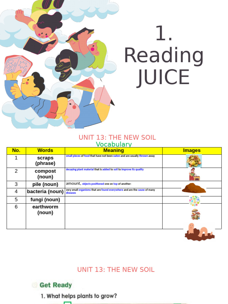 Flyers Reading Juice 2 Unit13 | PDF