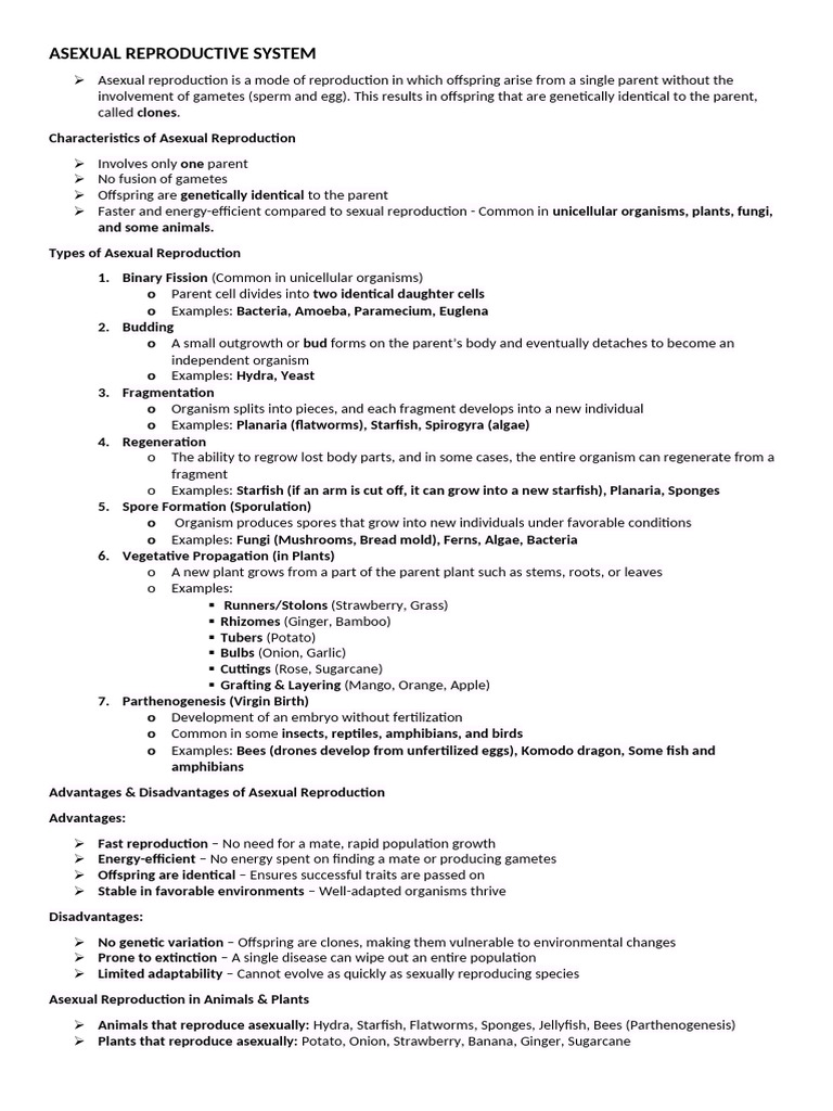 Asexual Reproductive System | PDF | Fertilisation | Reproduction