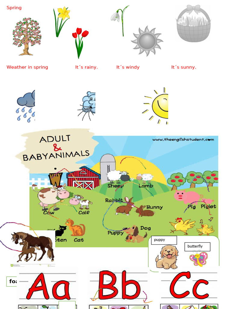 Spring, Weather, Baby Animals | PDF