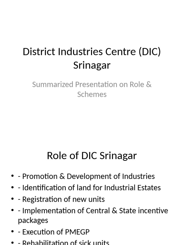 DIC Summary Presentation | PDF