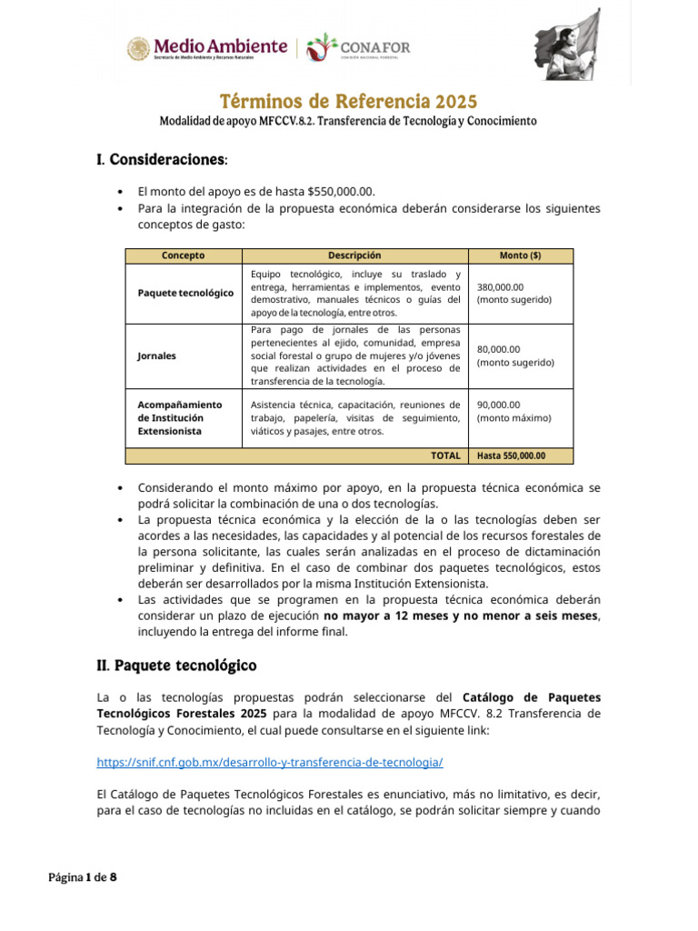 TDR MFCCV.8.2.TTC 2025 | PDF | Igualdad de género | Estudios de género