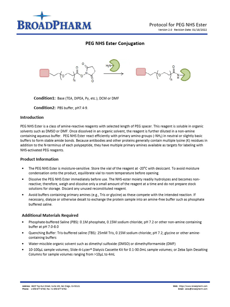 Broadpharm PEG Amine Conjugation Protocol | PDF | Amine | Organic Chemistry