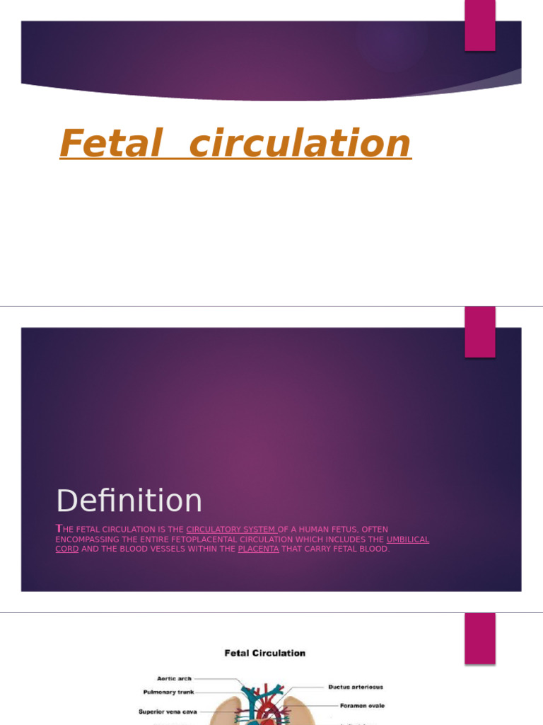 Fetal Circulation | PDF | Fetus | Circulatory System