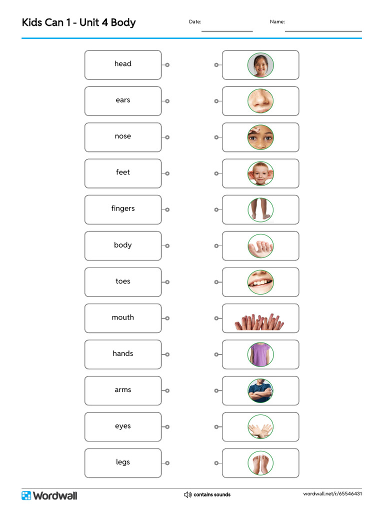 Kids Can 1 Unit 4 Body Match Up Line Drawing | PDF