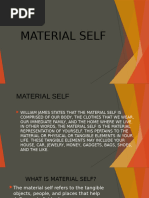 The Material Self UTS | PDF | Self | Adolescence