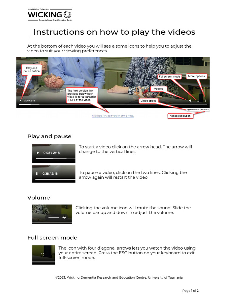 Video Viewing Instructions | PDF