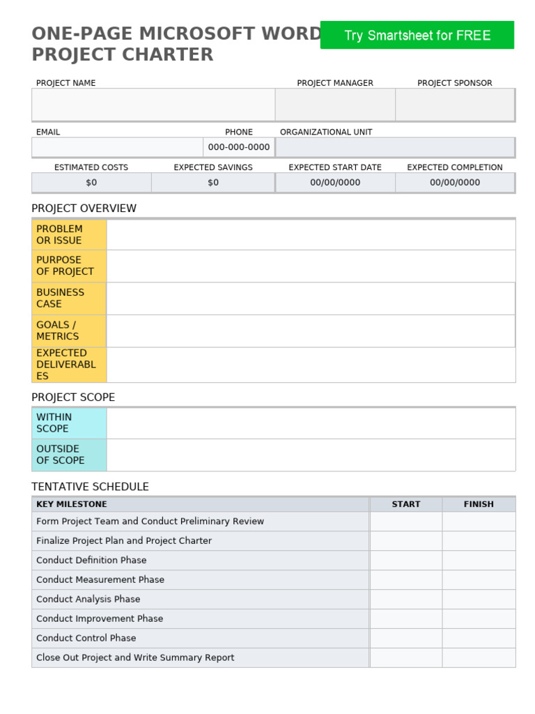 IC One Page Microsoft Word Project Charter 11770 - WORD | PDF