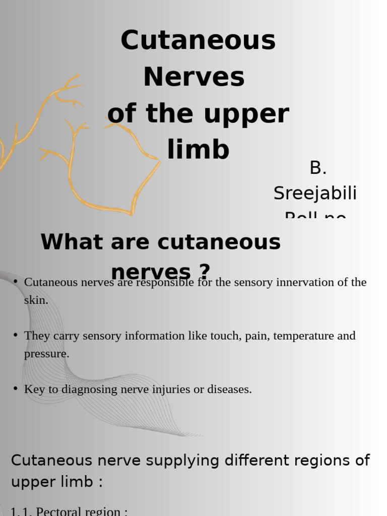 Cutaneous Nerves of The Upper Limb | PDF | Arm | Hand