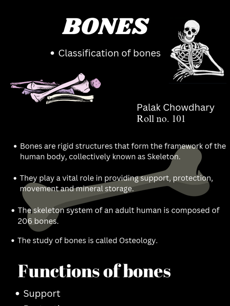 Bones and It's Classification | PDF | Bone | Skull