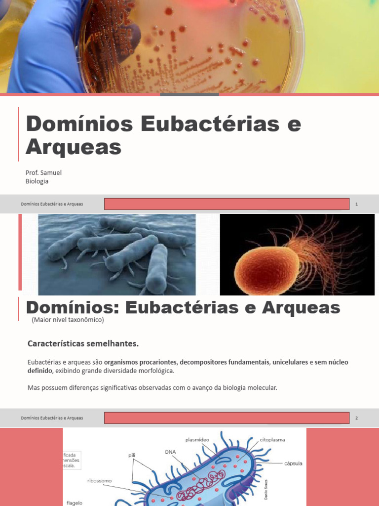 Domínios Eubactérias e Arqueas | PDF | Archaea | Bactérias