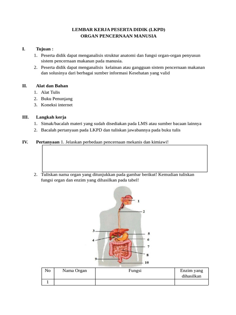 LKPD Organ Pencernaan Bru | PDF