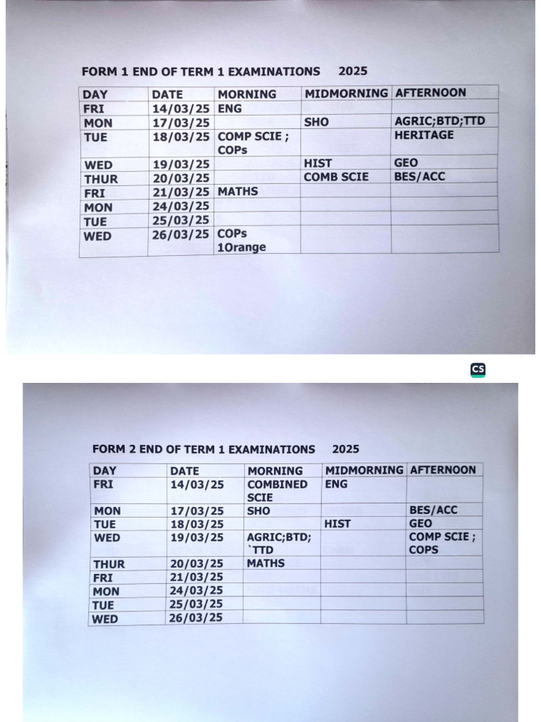 End of Term 1 Examinations 2025 | PDF
