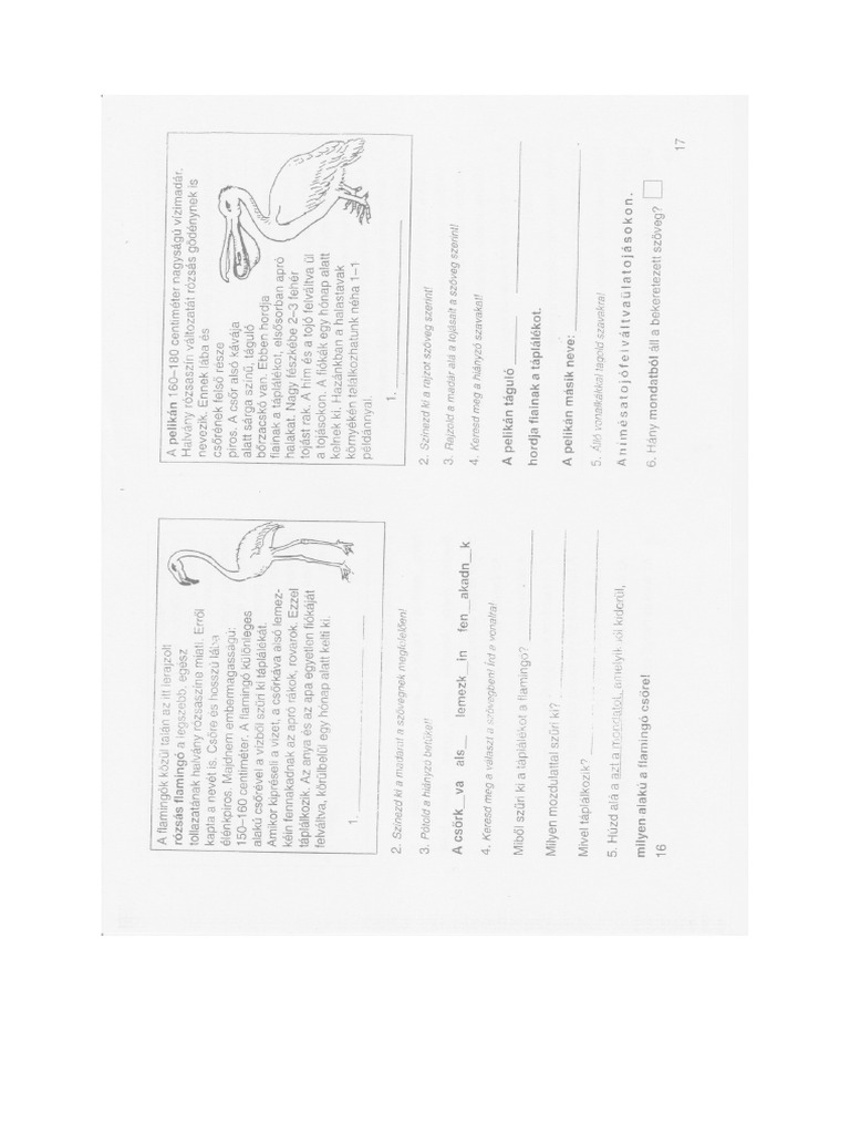 Romankovics Szövegértések - Docx Verziószám 1 | PDF