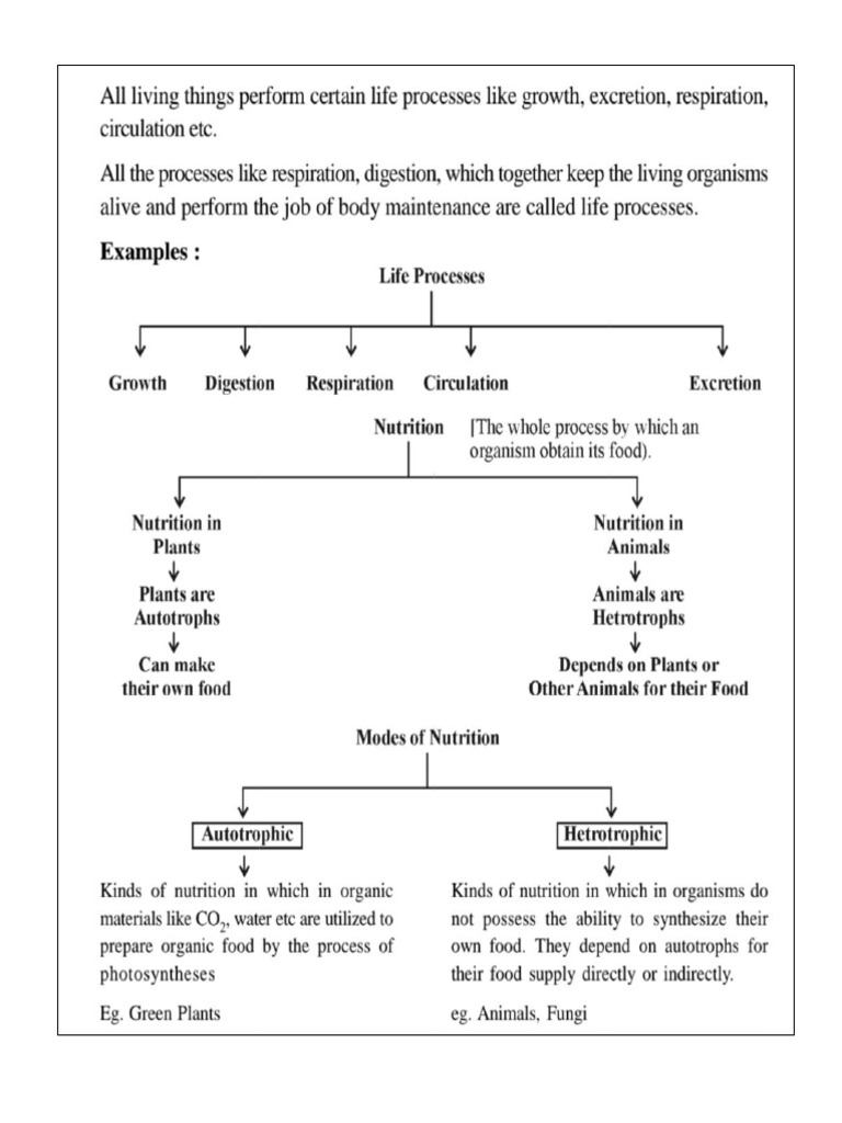 Grade 10 Biology Capsule | PDF | Ecosystem | Food Web