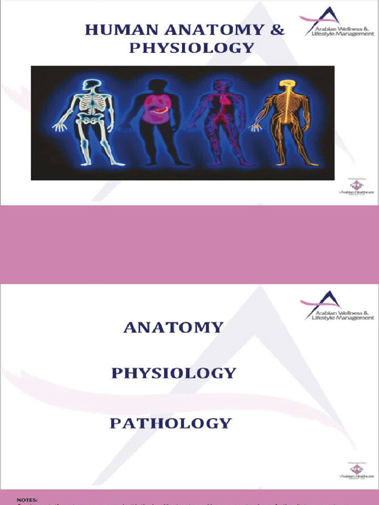 Anatomy Physiology PPT | PDF