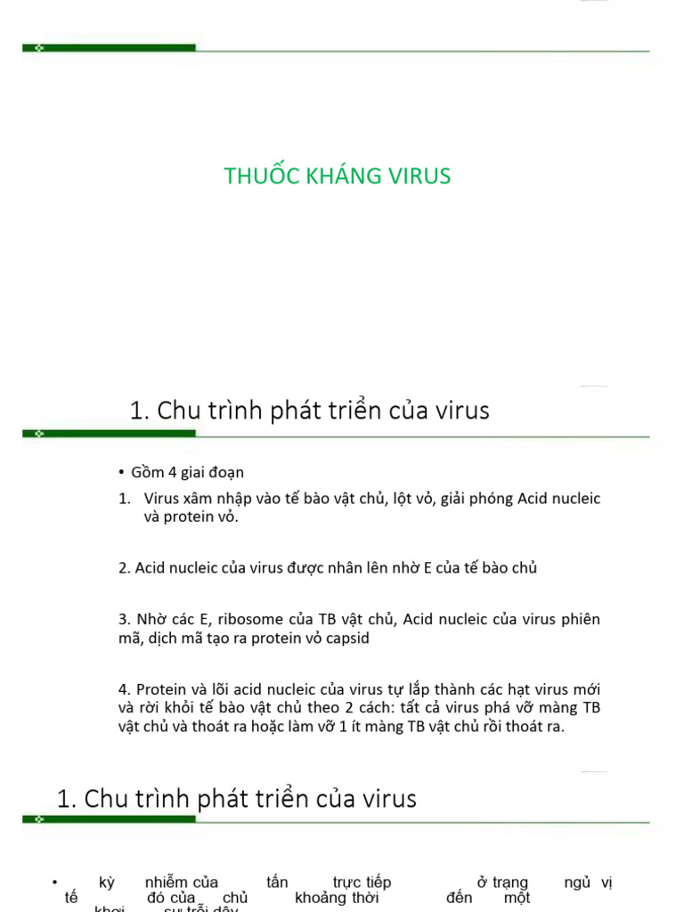ĐC Kháng Virus - Kháng Hiv-Vgb-B4 | PDF