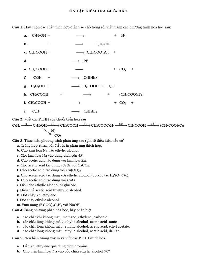 2024 - 2025_Ôn KT GHK 2 | PDF