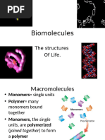 Calculating Magnification Worksheet | PDF