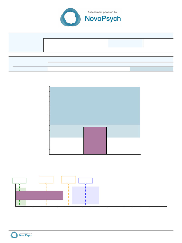 Dummy Client ASSQ 2025-02-24 | PDF | Autism | Attention Deficit ...