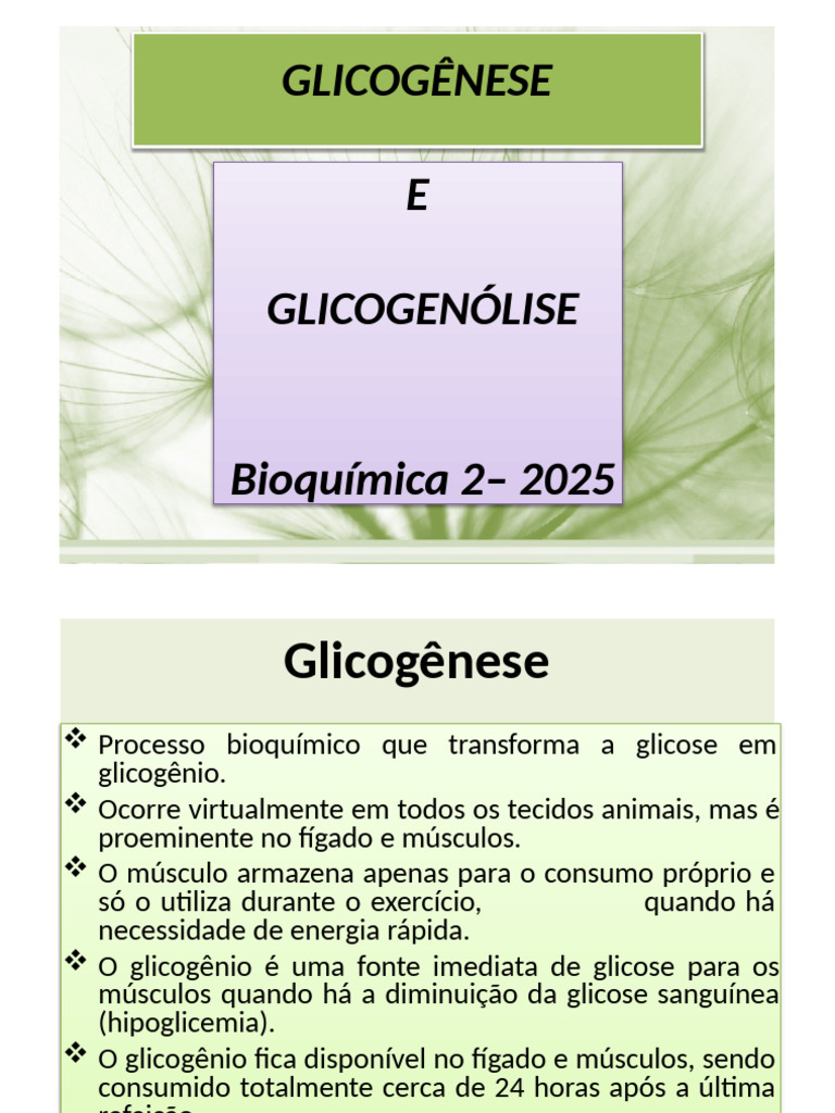 Aula 10 - Glicogênese e Glicogenólise 2020-1 | PDF | Glicogênio ...