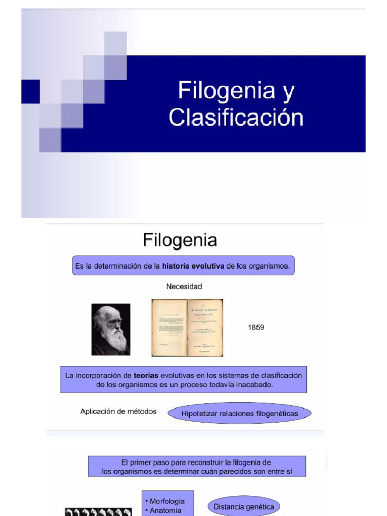 Filogenia y Clasificacion de Seres Vivos | PDF