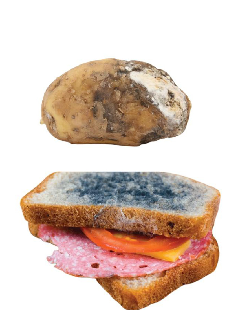 Image Removebg Preview | PDF