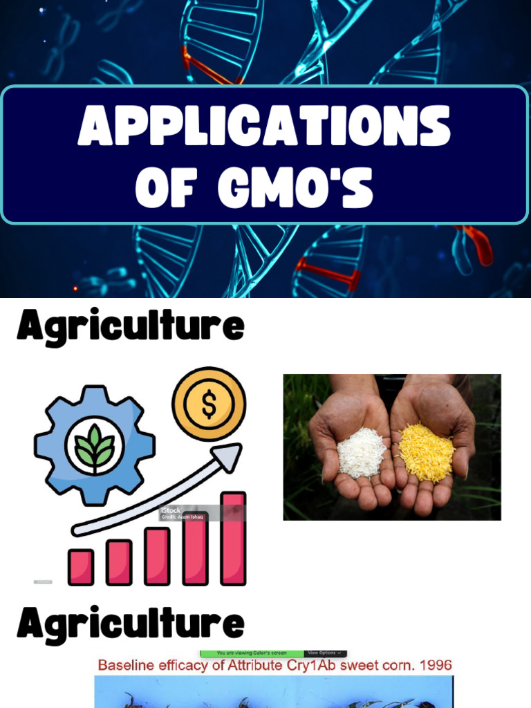 Applications of GMOs | PDF
