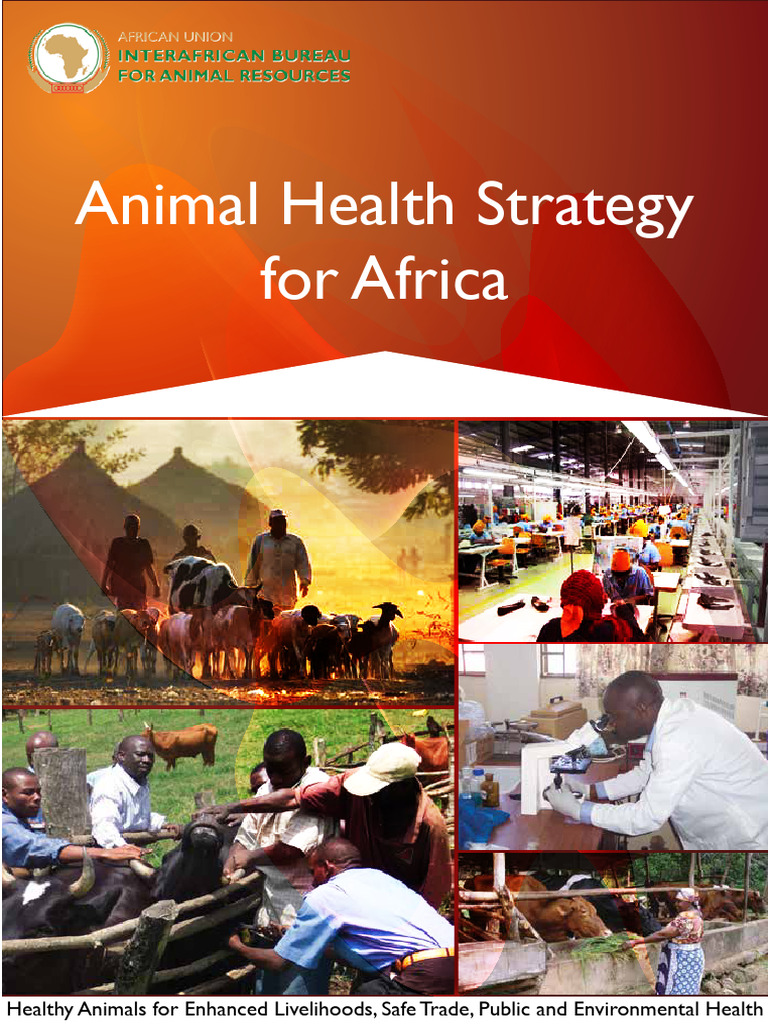 Animal Health Strategy For Africa | PDF | Policy
