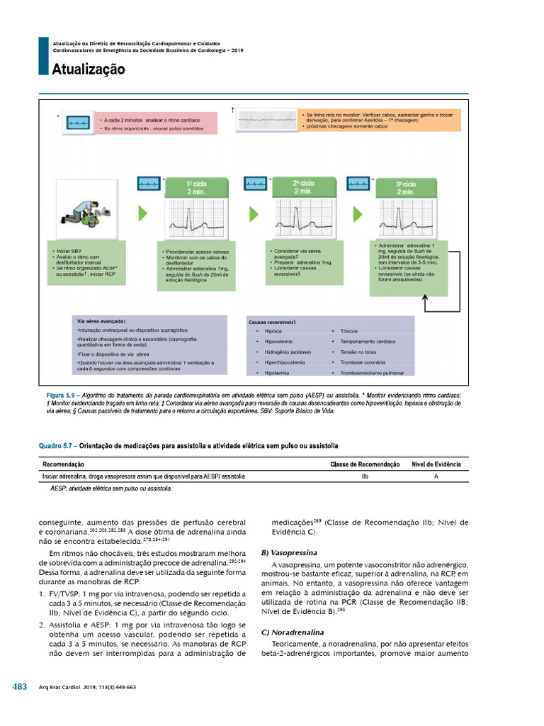 Algoritmo AESP-Assistolia | PDF