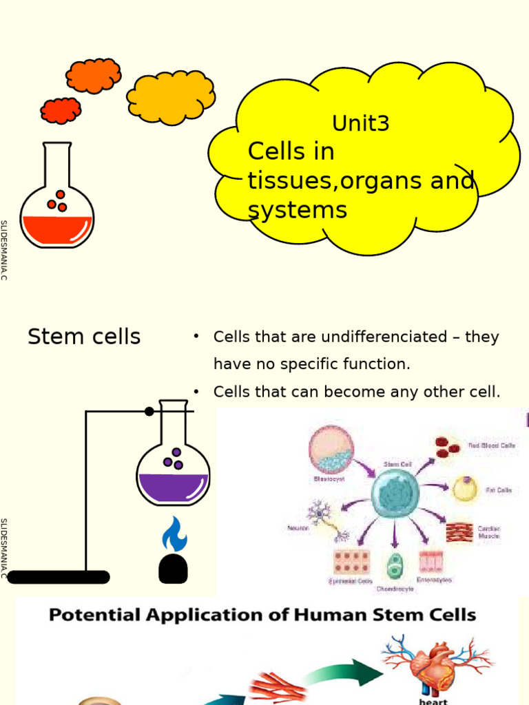 3. Unit 3 Cells in Tissue | PDF