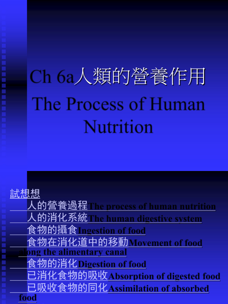 Human Nutrition and Digestion Process | PDF | Stomach | Digestion