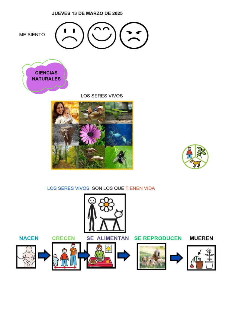 Los Seres Vivos: Ciclo de Vida | PDF
