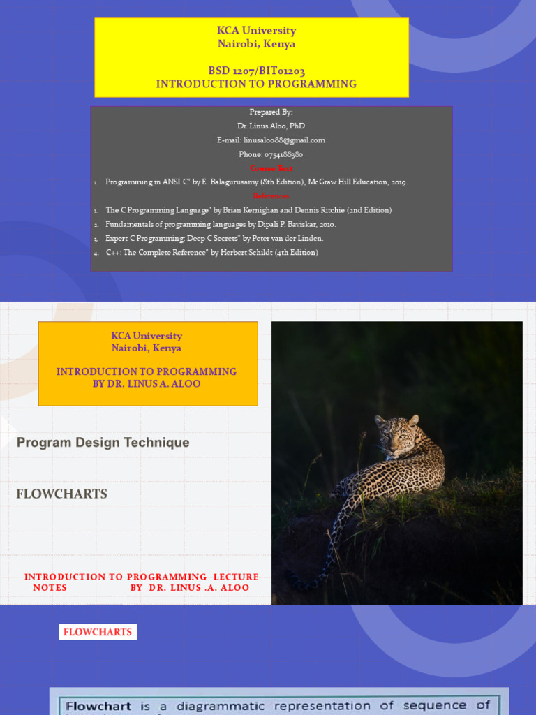 Lecture 3_INTROD TO PROG_FLOWCHARTS (2) | PDF | Software Engineering | Computer Science